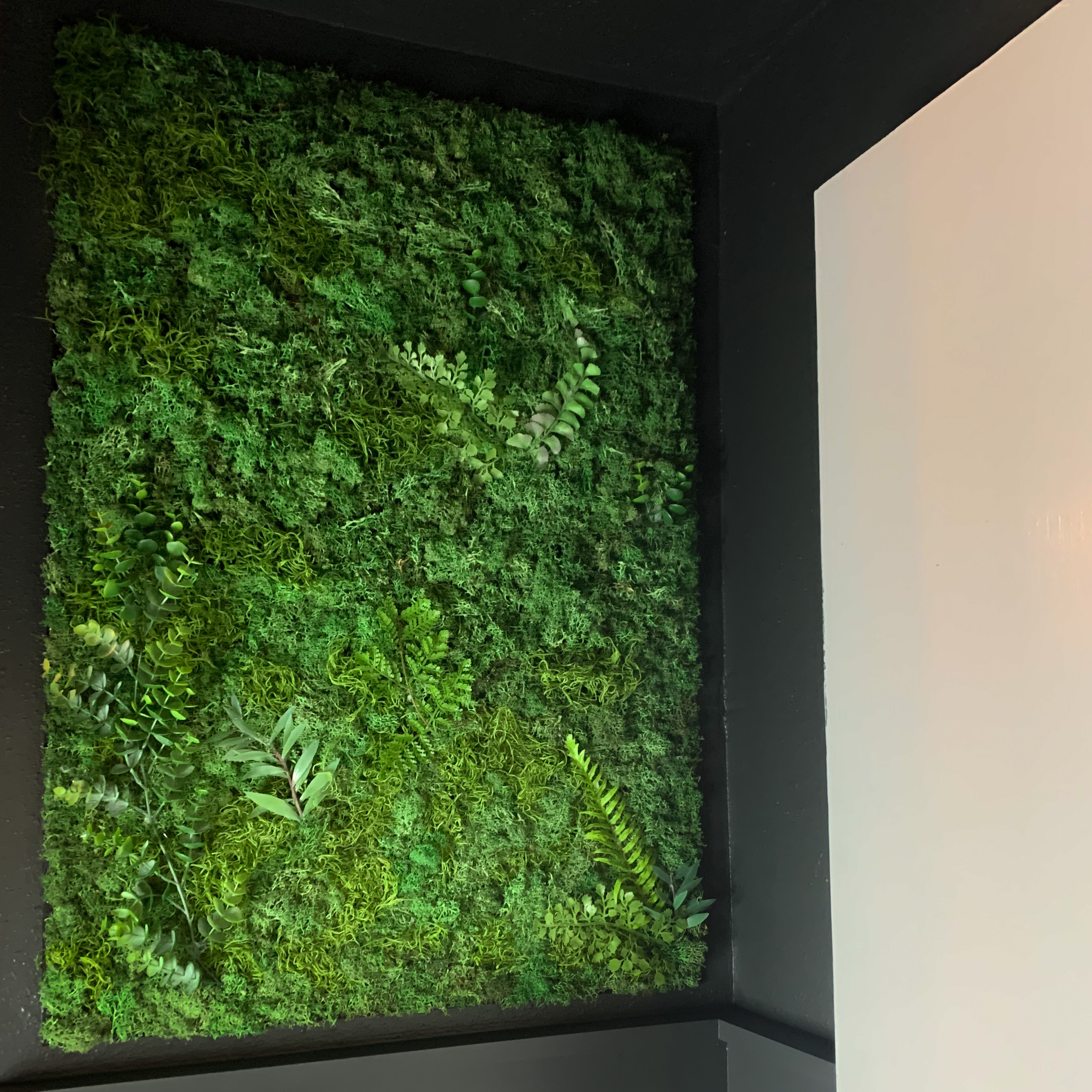 $20 DIY Greenery Wall Art - DIY WITH DANIELLE