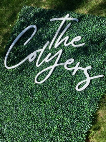 How to Create a Custom Greenery Wedding Backdrop: Full DIY Tutorial ...